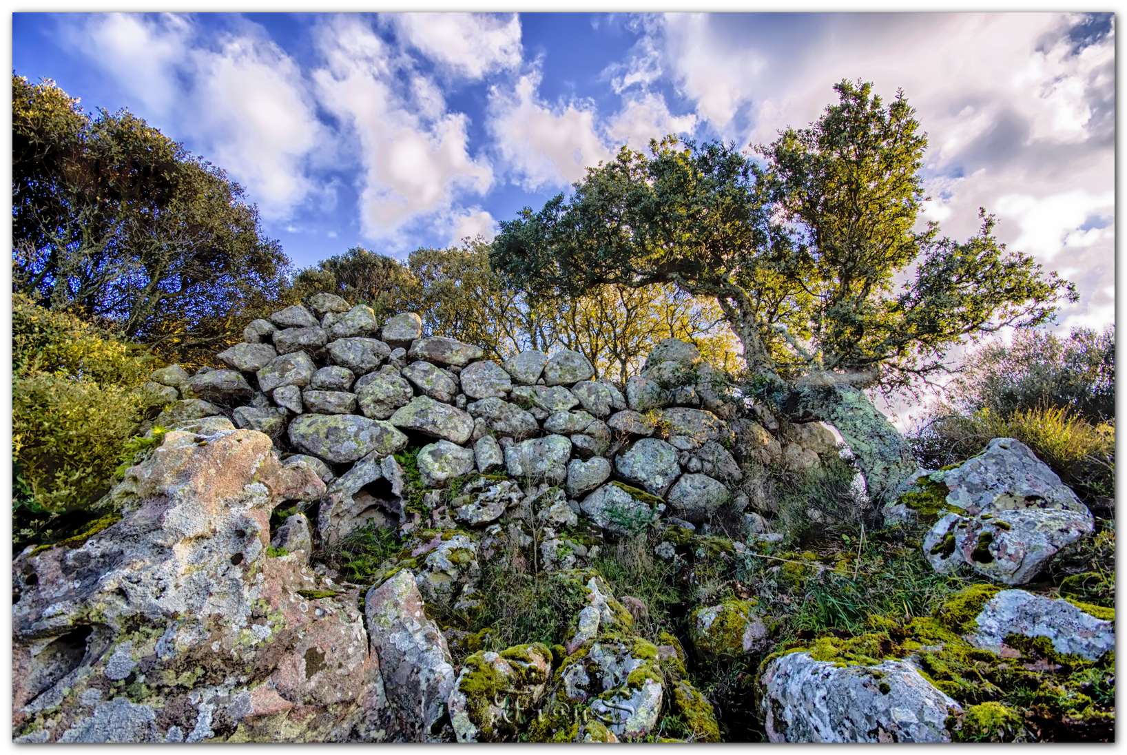 Nuraghe S' Ammuradu (English) | archaeological site, nuragic ...