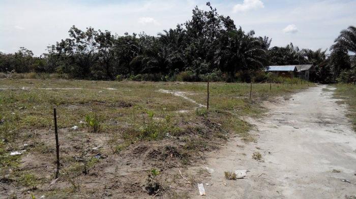 KAPLINGAN 01 JAYA INVESTMENT - Duri