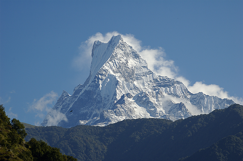 Machapuchare 6993 m
