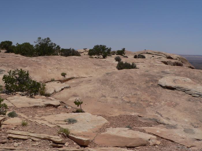 Muley Point Overlook