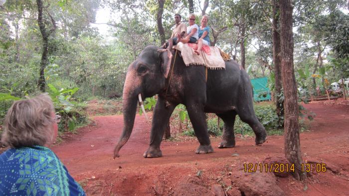 Elephant enclosure