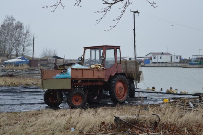 Fishing kolkhoz - Mamonovo