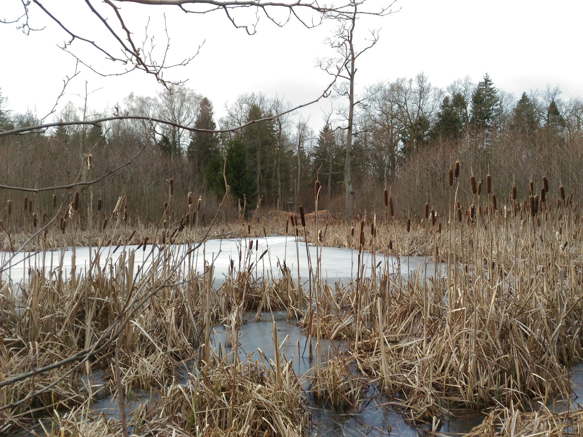 Arsenal | arsenal / weapon and ammunition storage