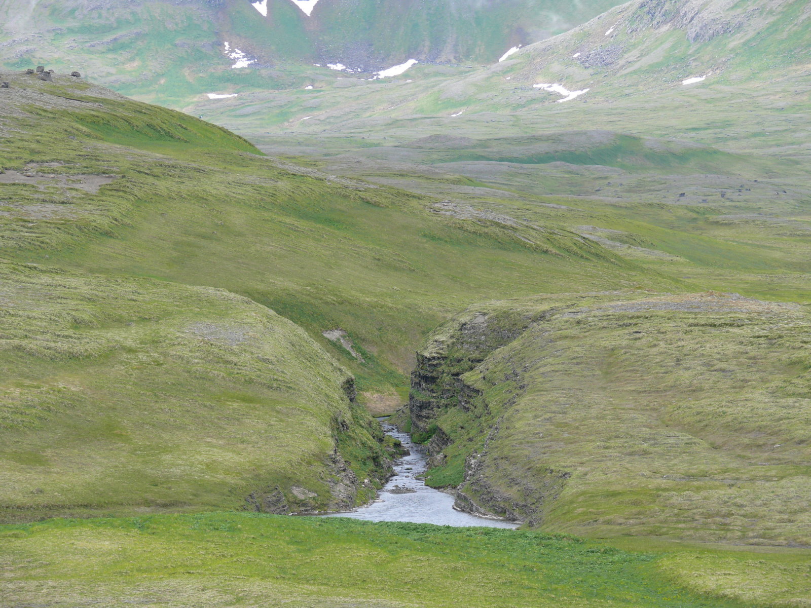 Agattu Island, Alaska