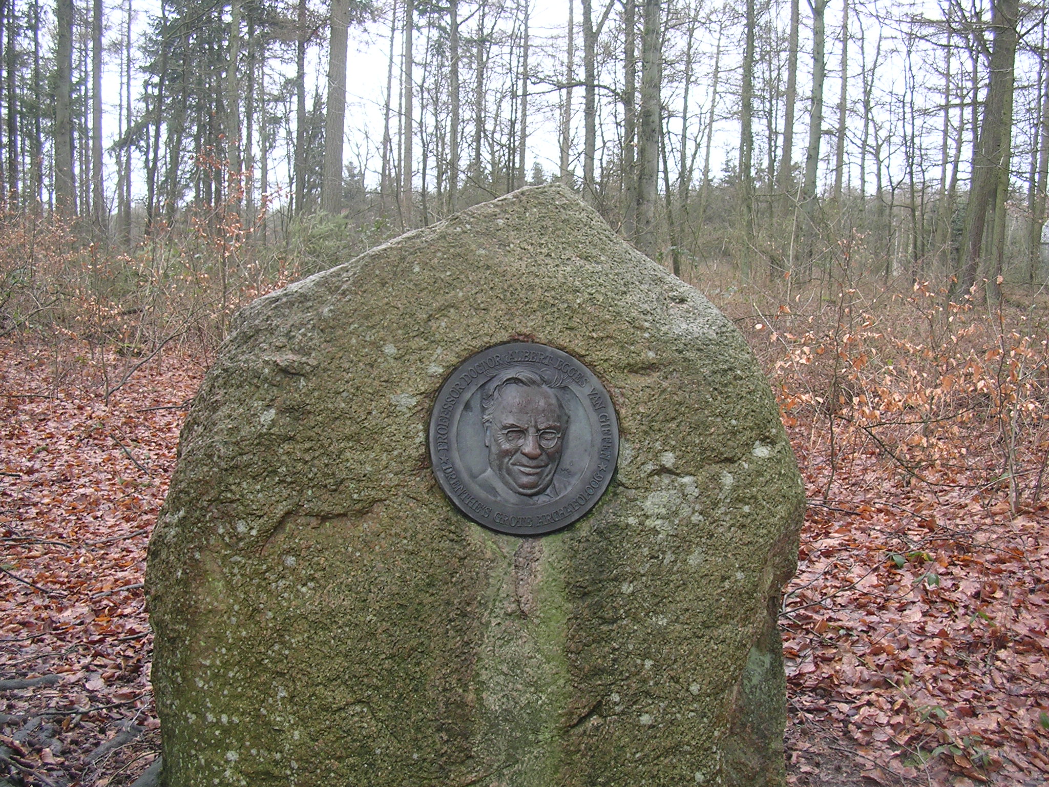 Hunebed D49