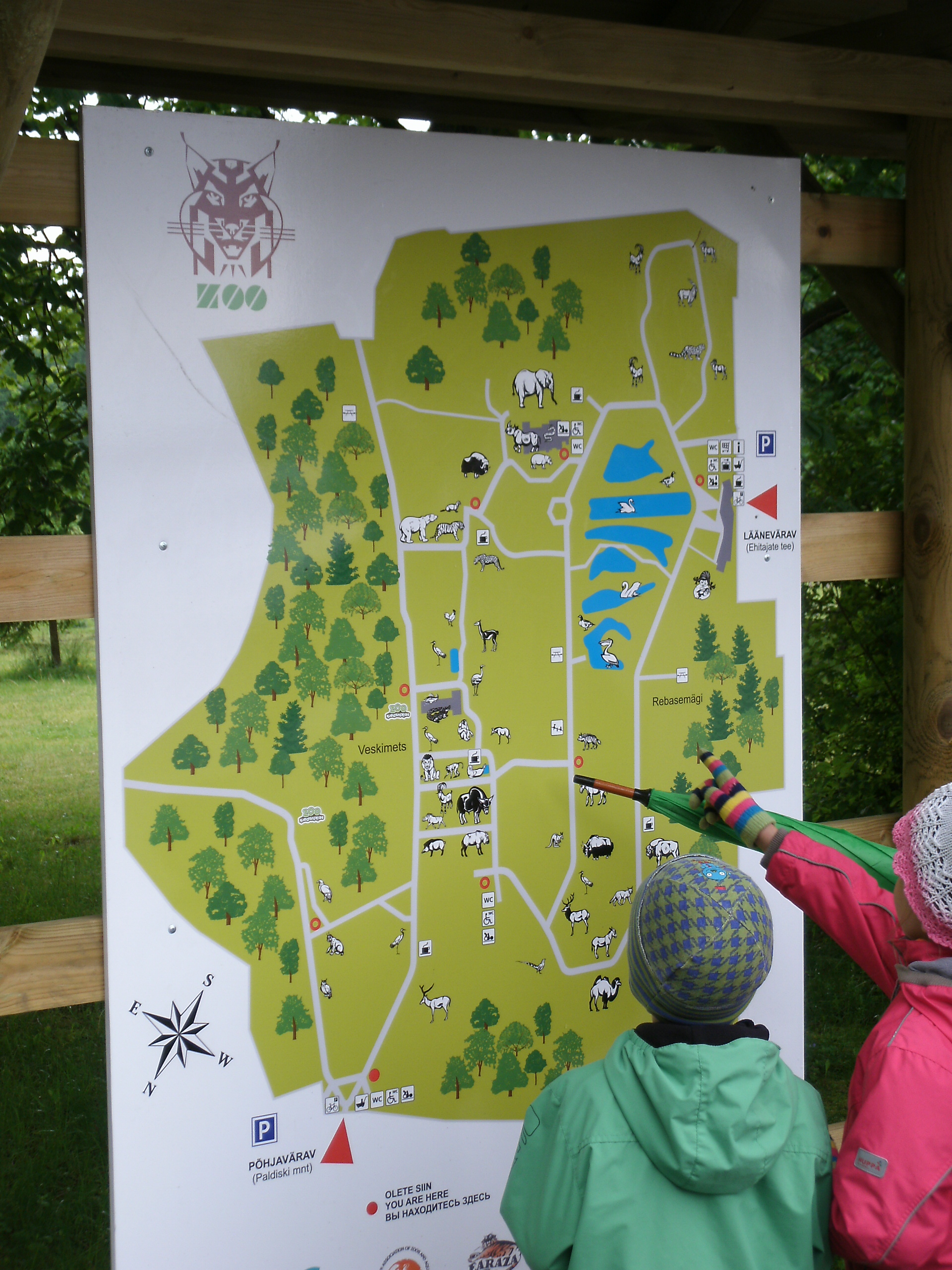 Tallinna Loomaaed - Tallinn