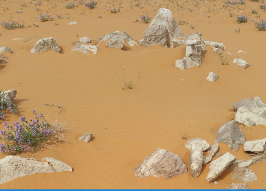 An ancient Irrigation system