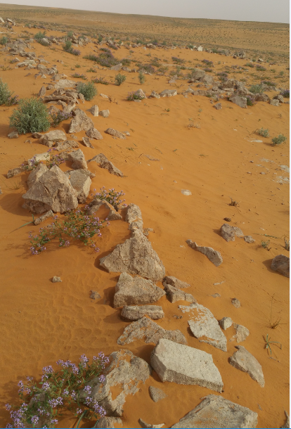 An ancient Irrigation system