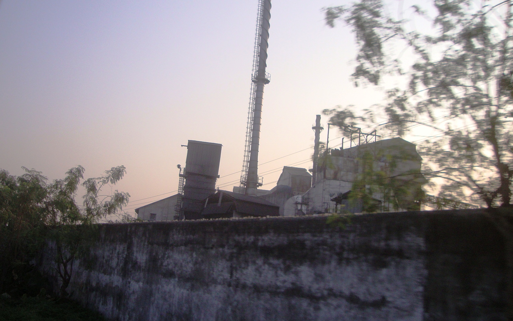 Tribeni Tissues Ltd - Tribeni