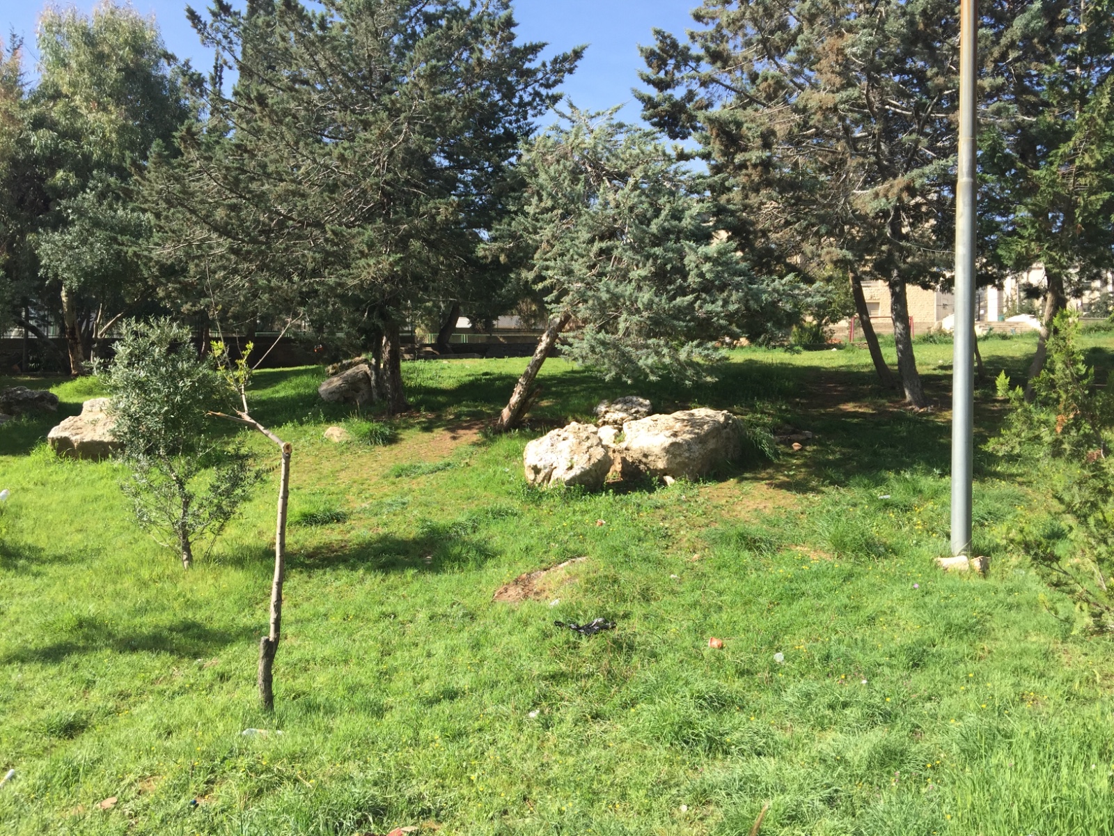 Arab Army park - Amman