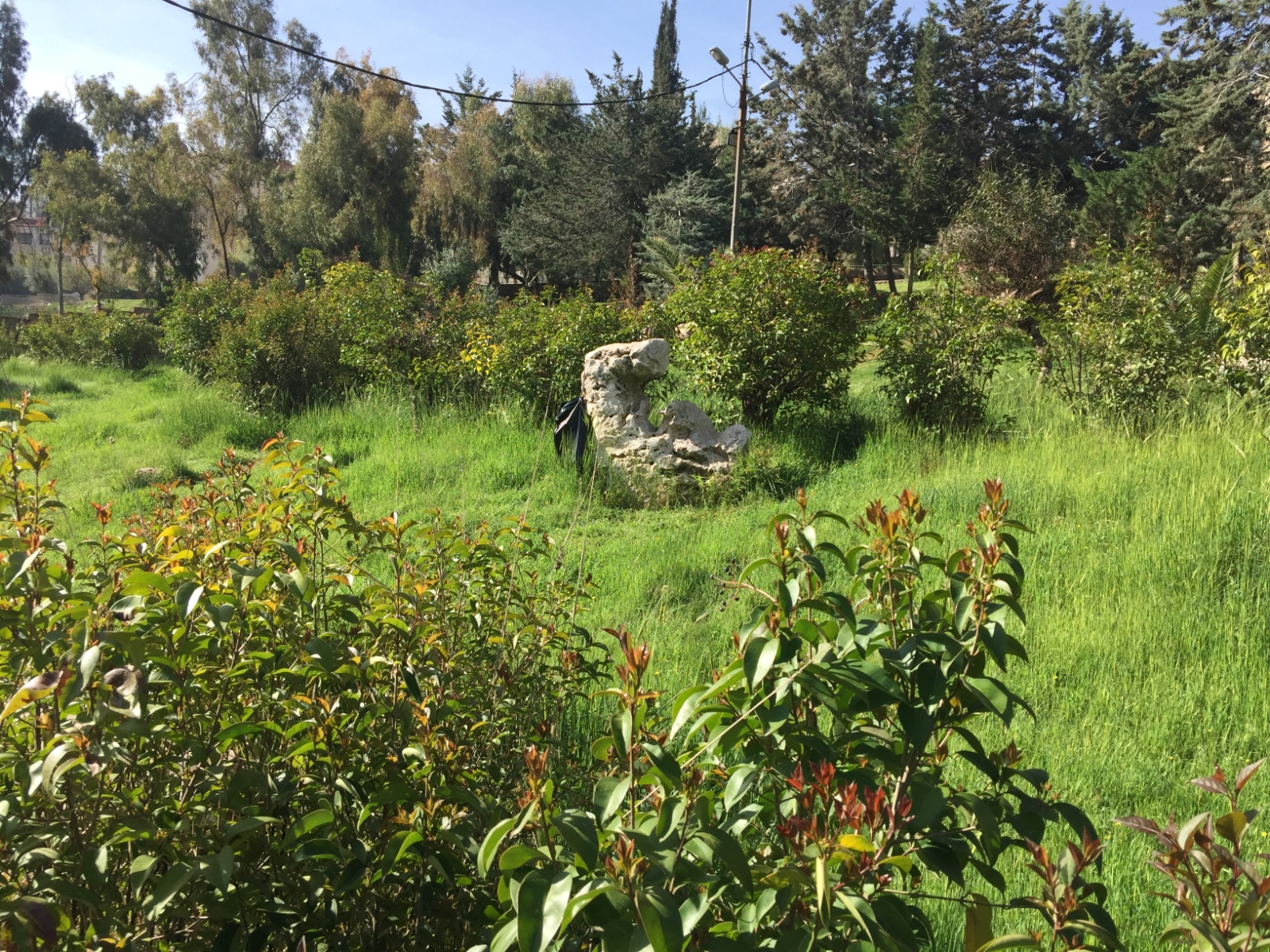 Arab Army park - Amman