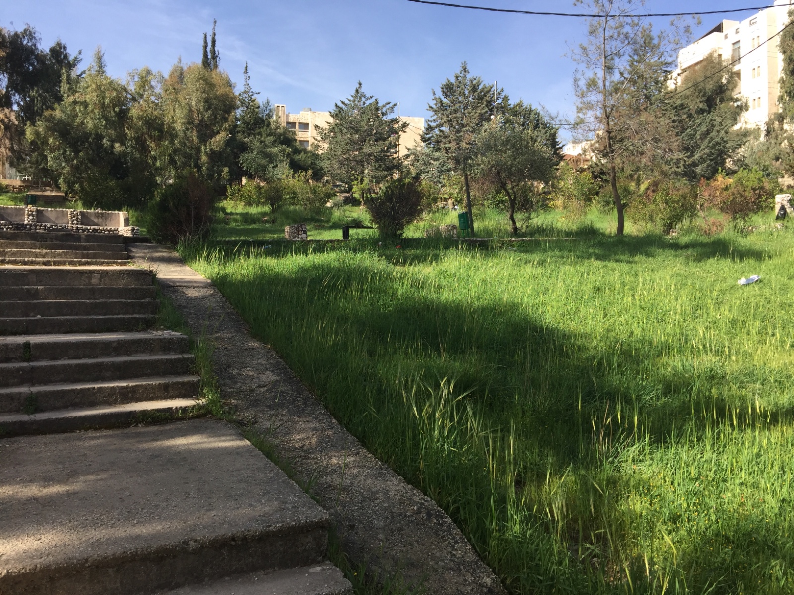 Arab Army park - Amman
