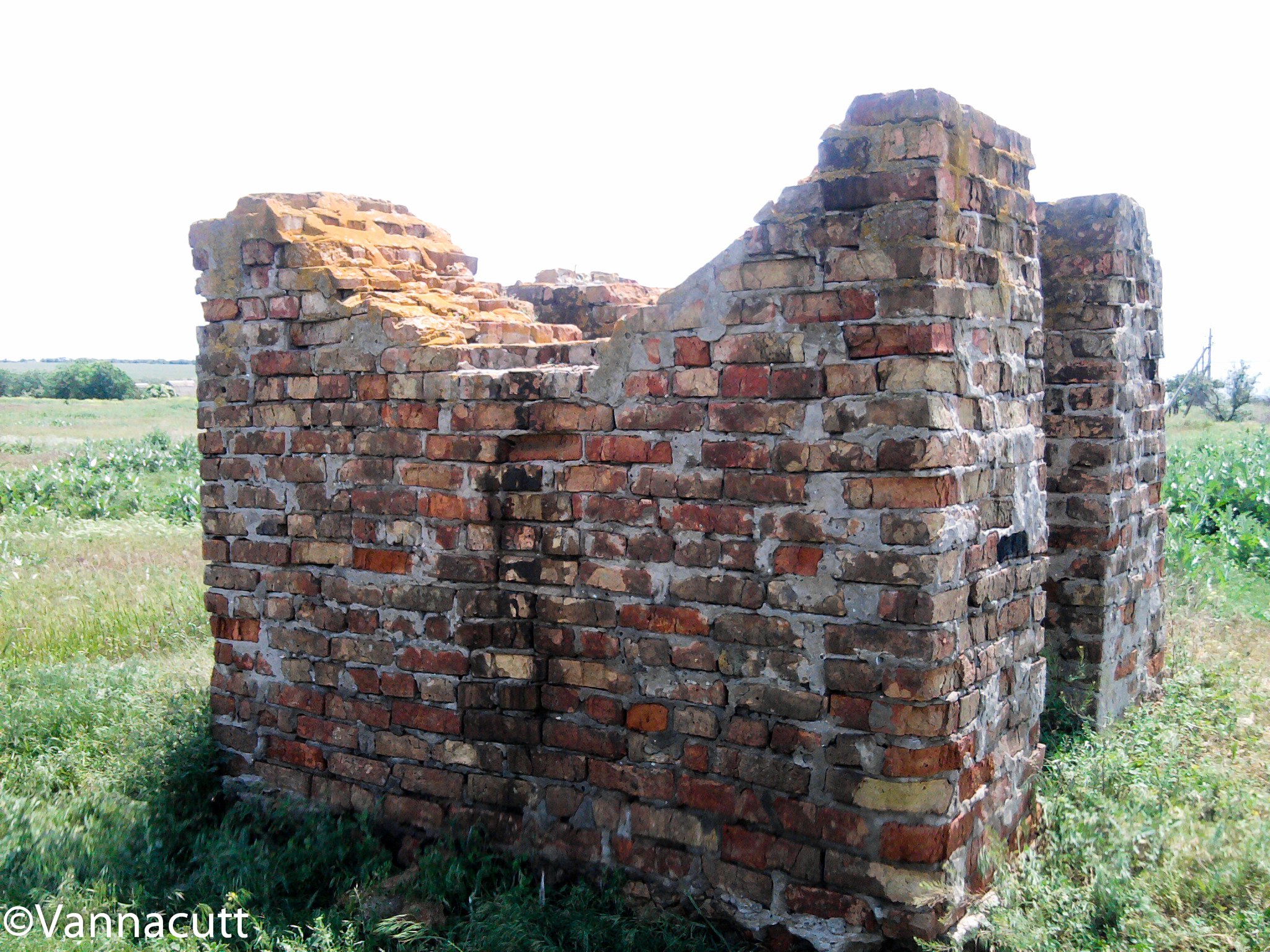 Dobra Nadiia