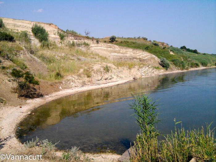 Dobra Nadiia