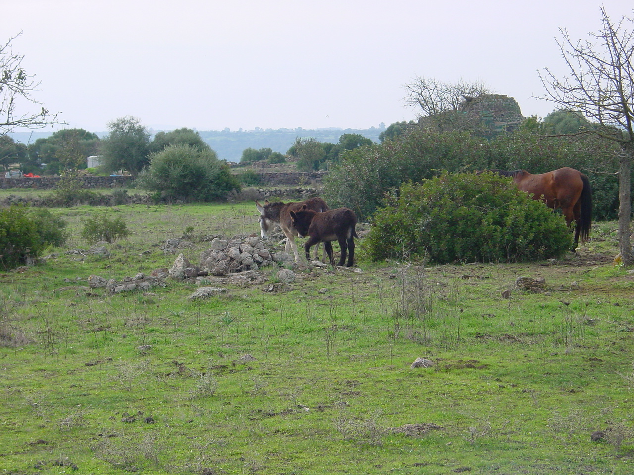 Parking for the archaeological site of Iloi