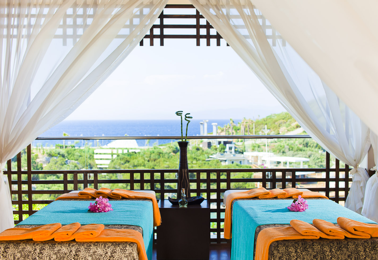 Non Active Hotel Plant (English)