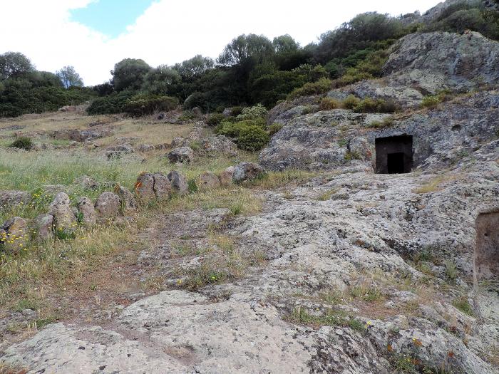 Domus de janas di Montessu VIII