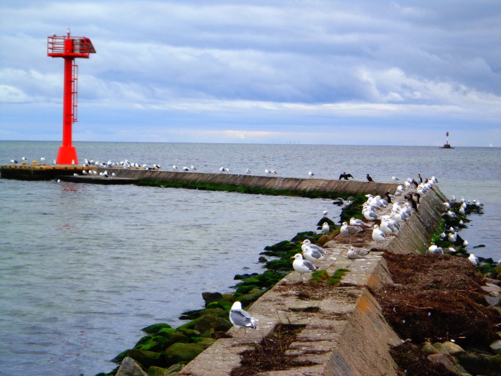 Red port entrance light