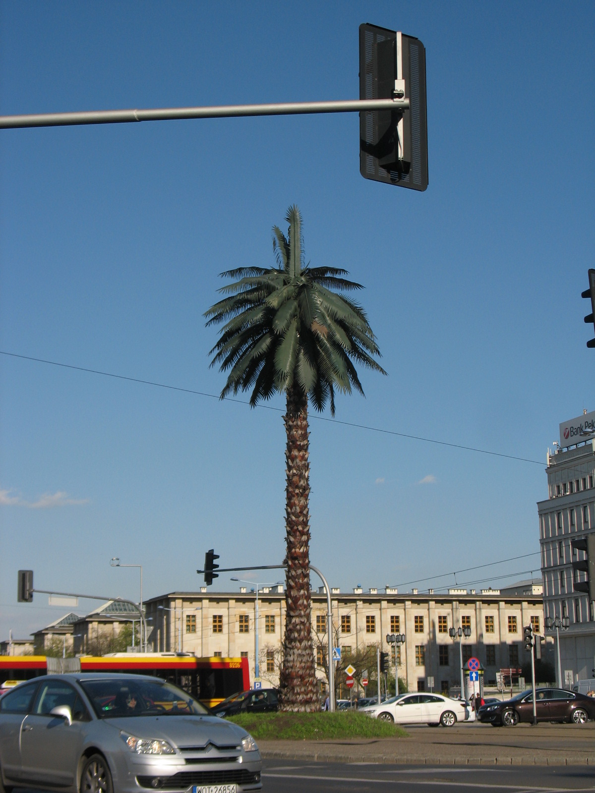 Palm - Warsaw