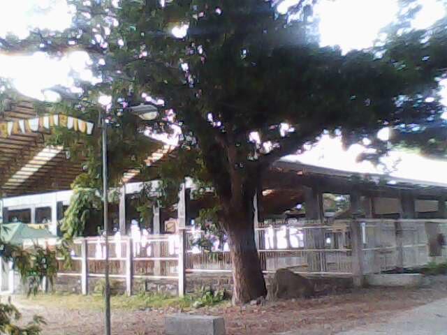 Bacong Auditorium - South Poblacion