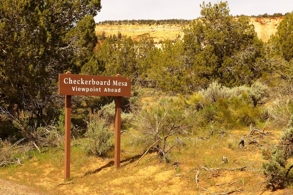 Checkerboard Mesa Viewpoint