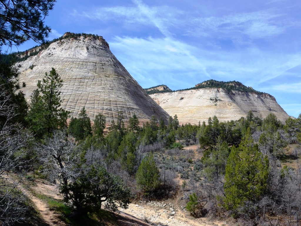 Checkerboard Mesa Viewpoint