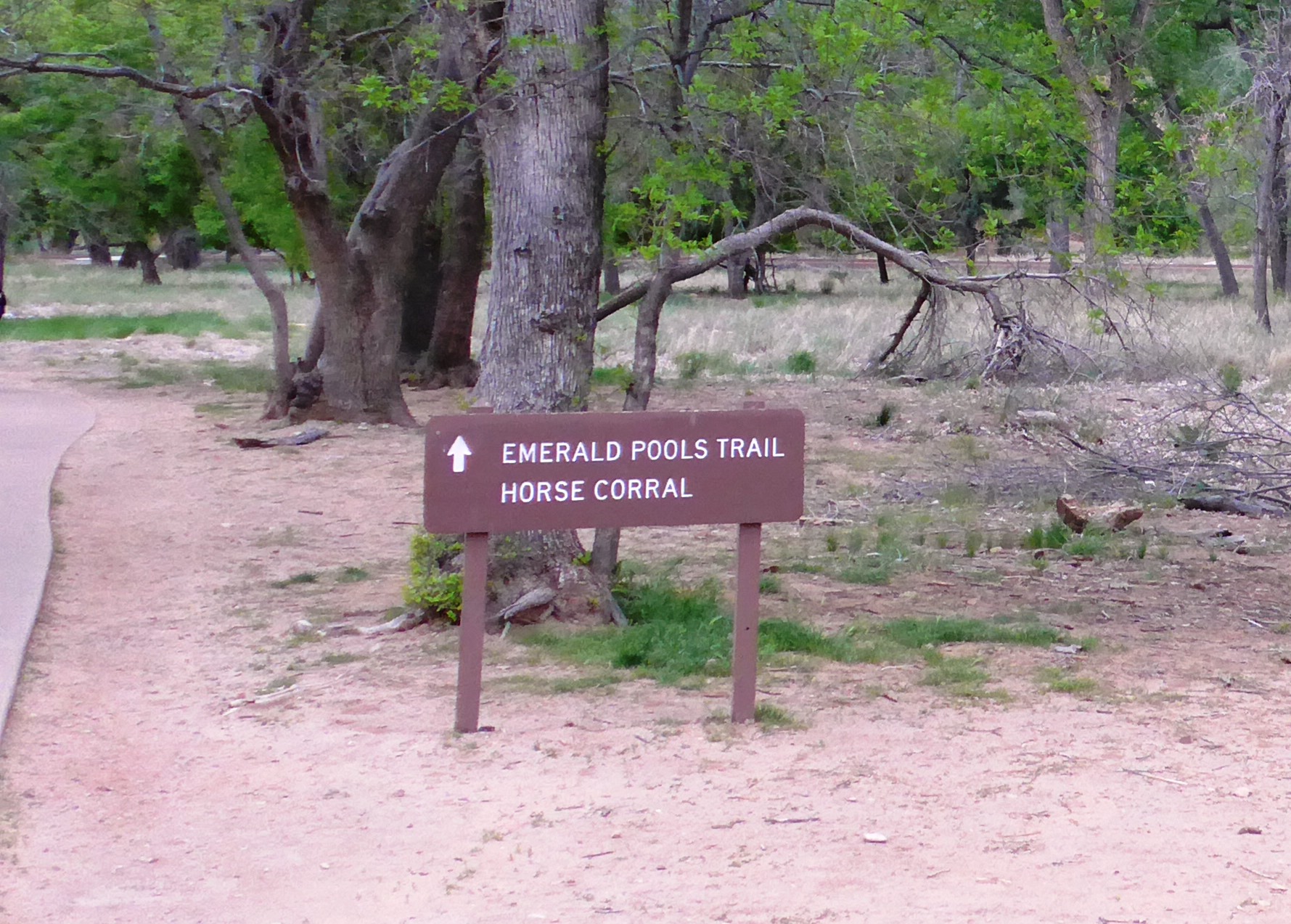 Horse Corral