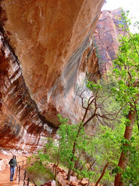 Trails to Emerald Pools