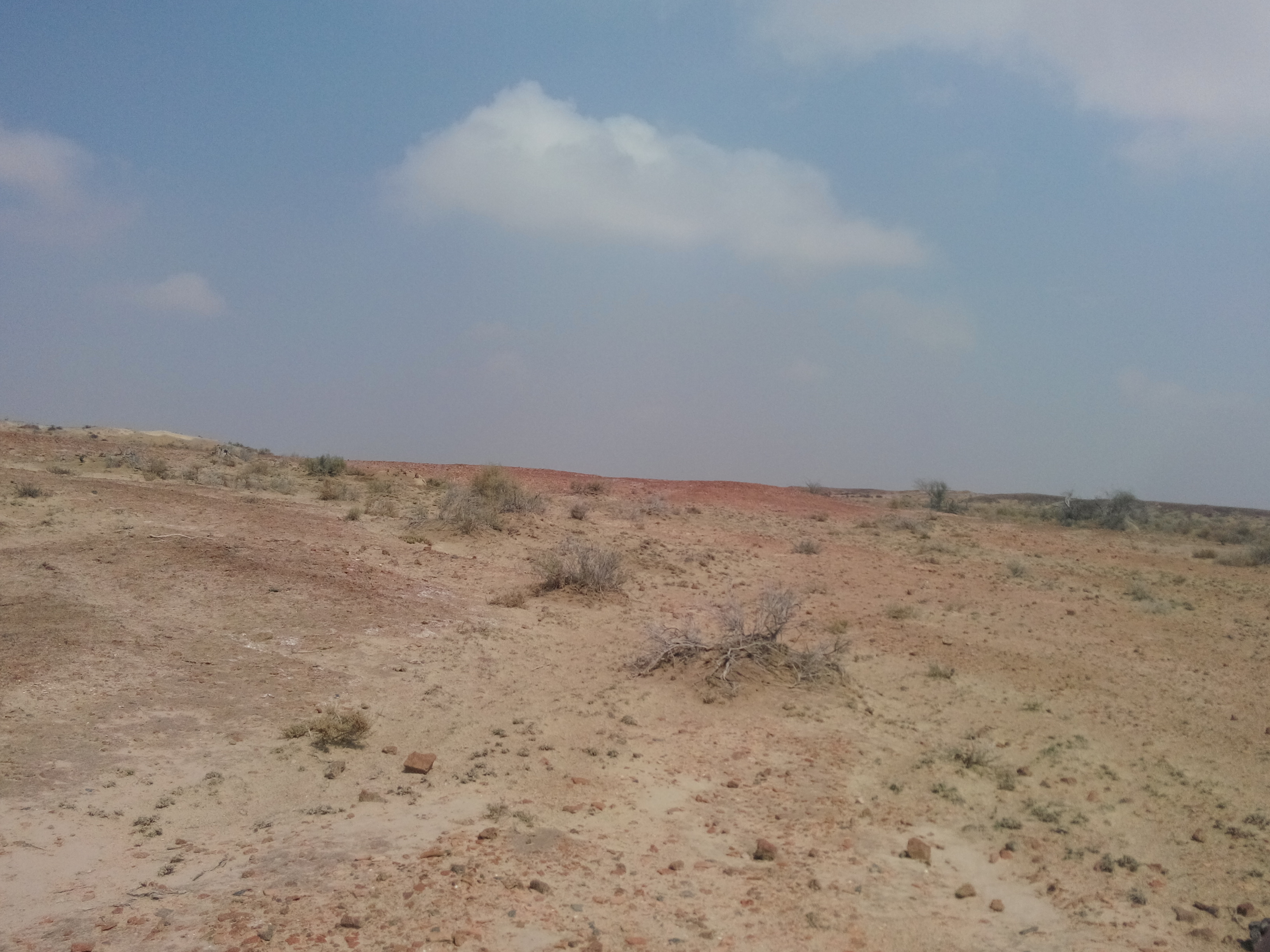 Hakra river civilization site - Kudwala Ther- 76