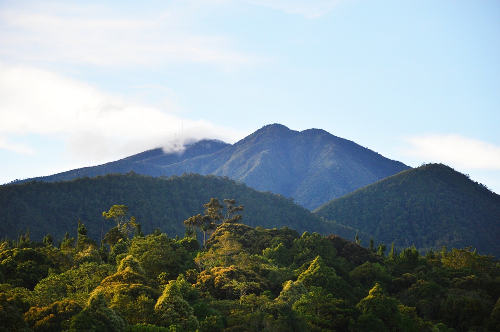 Dahilayan Forest Park - Manolo Fortich