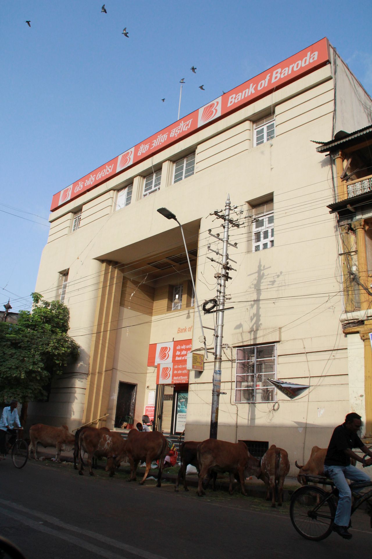 Bank of Baroda-Main Branch, Mandvi - Vadodara