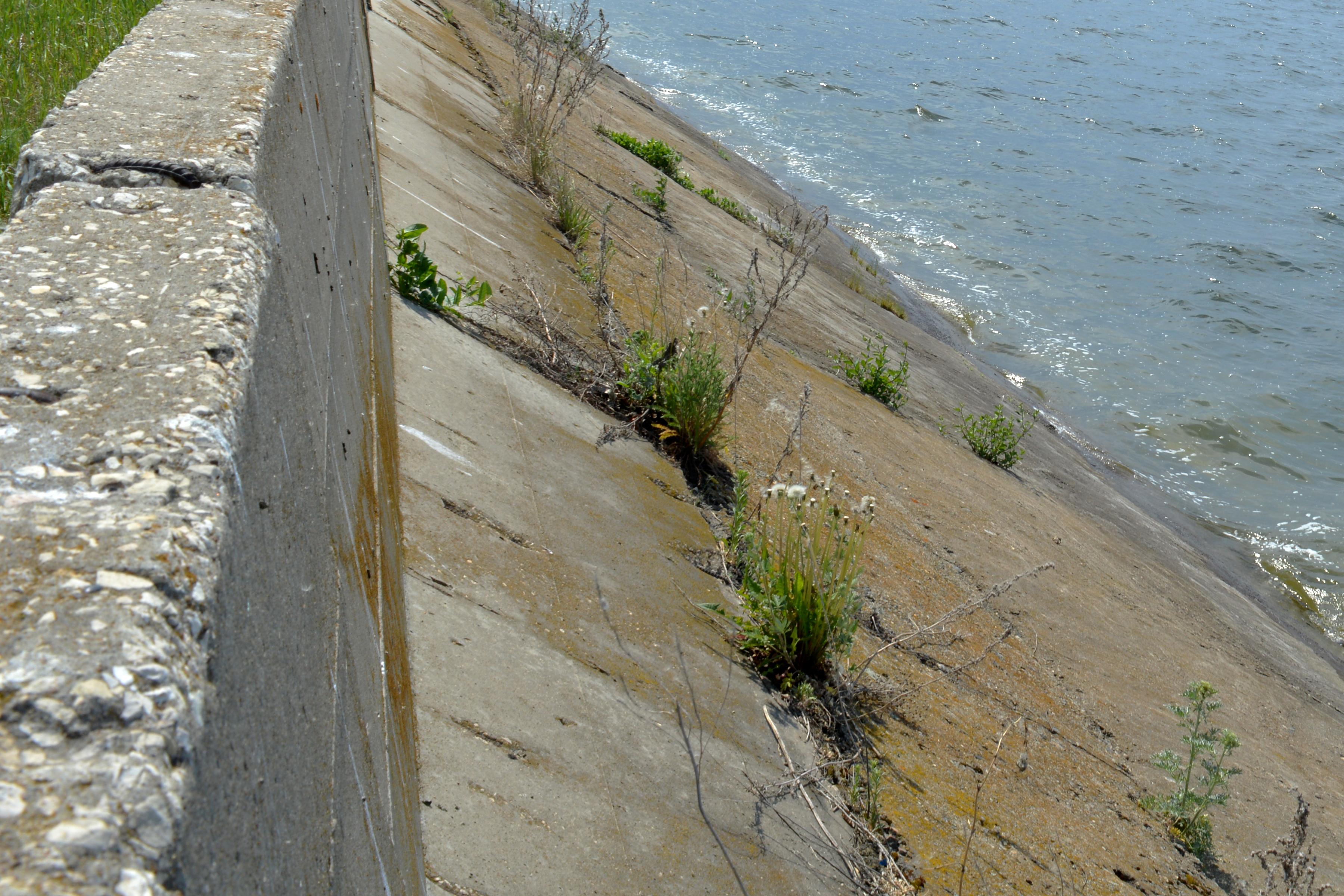 Dike - Chelyabinsk