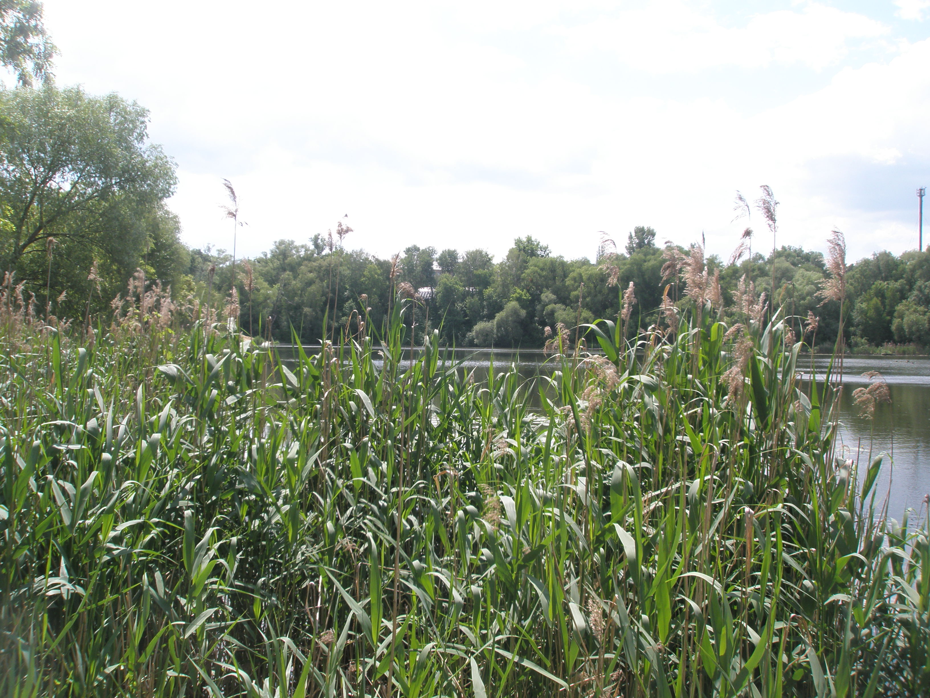 Quarry pond - Irpin