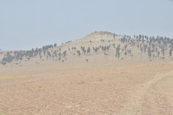 Saraj mountain (580 m)