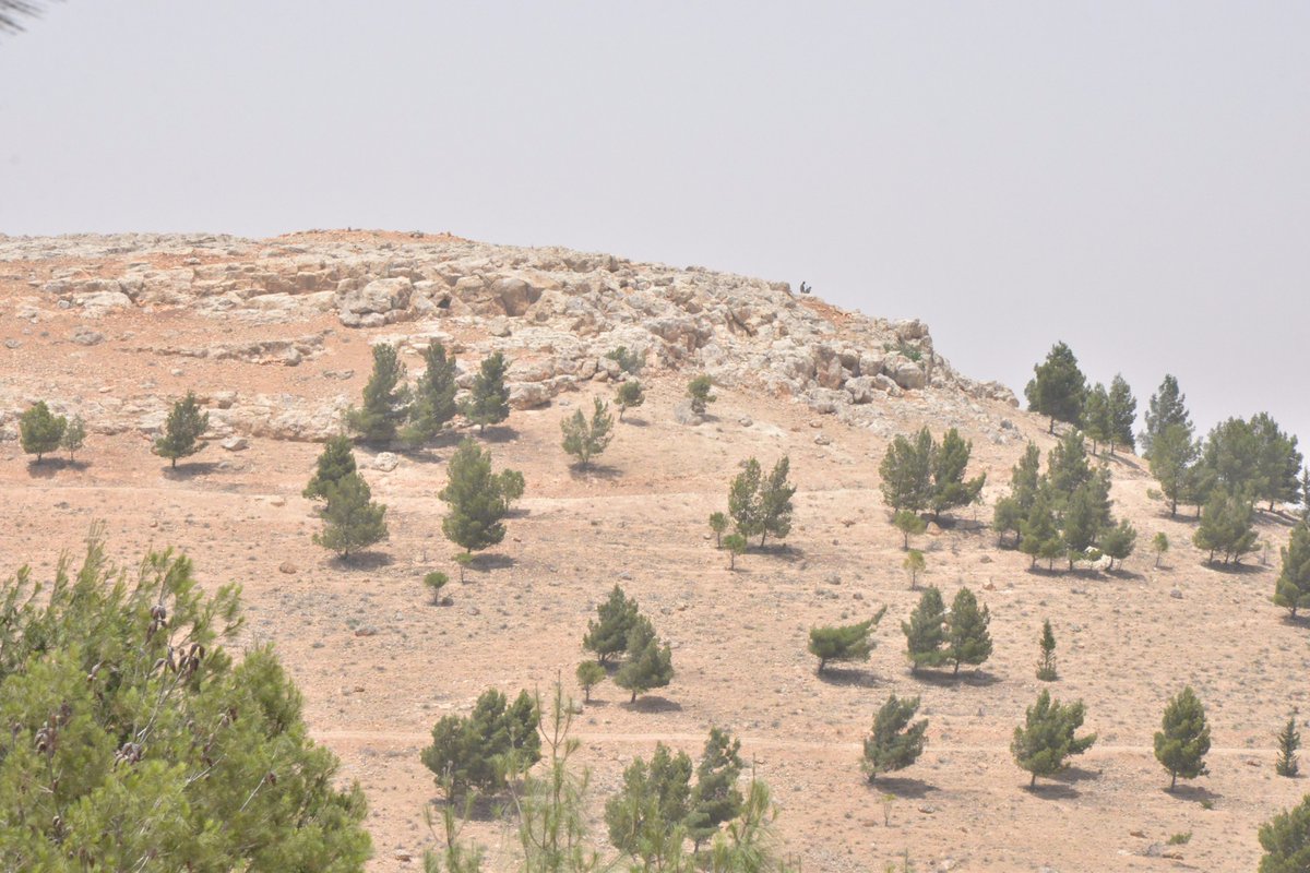 Saraj mountain (580 m)