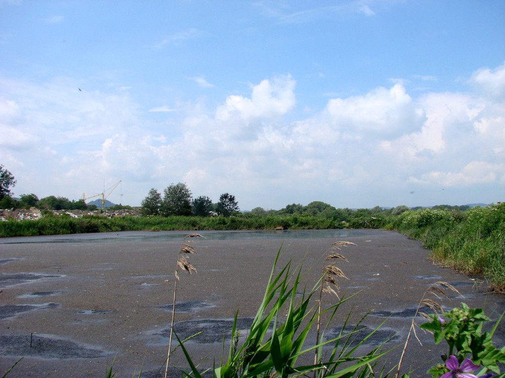 Sludge ponds