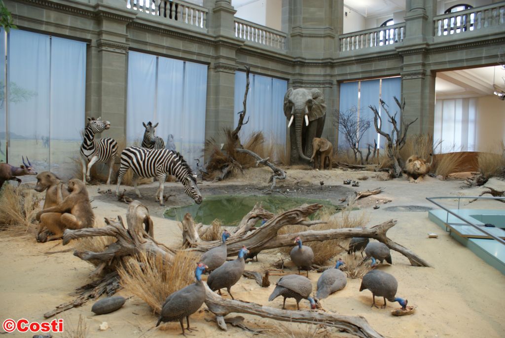 Research Museum Alexander Koenig - Bonn