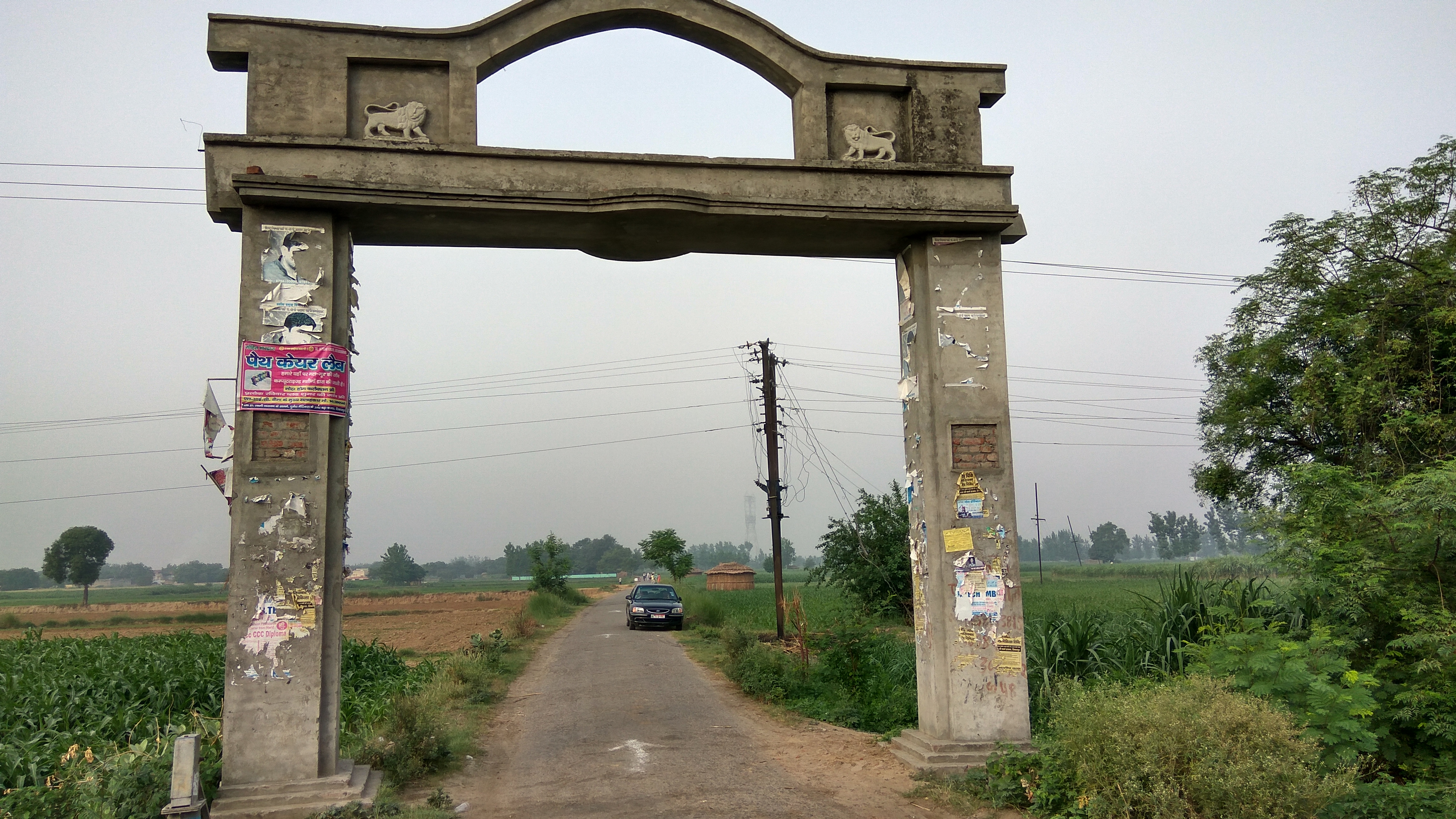 Barauli