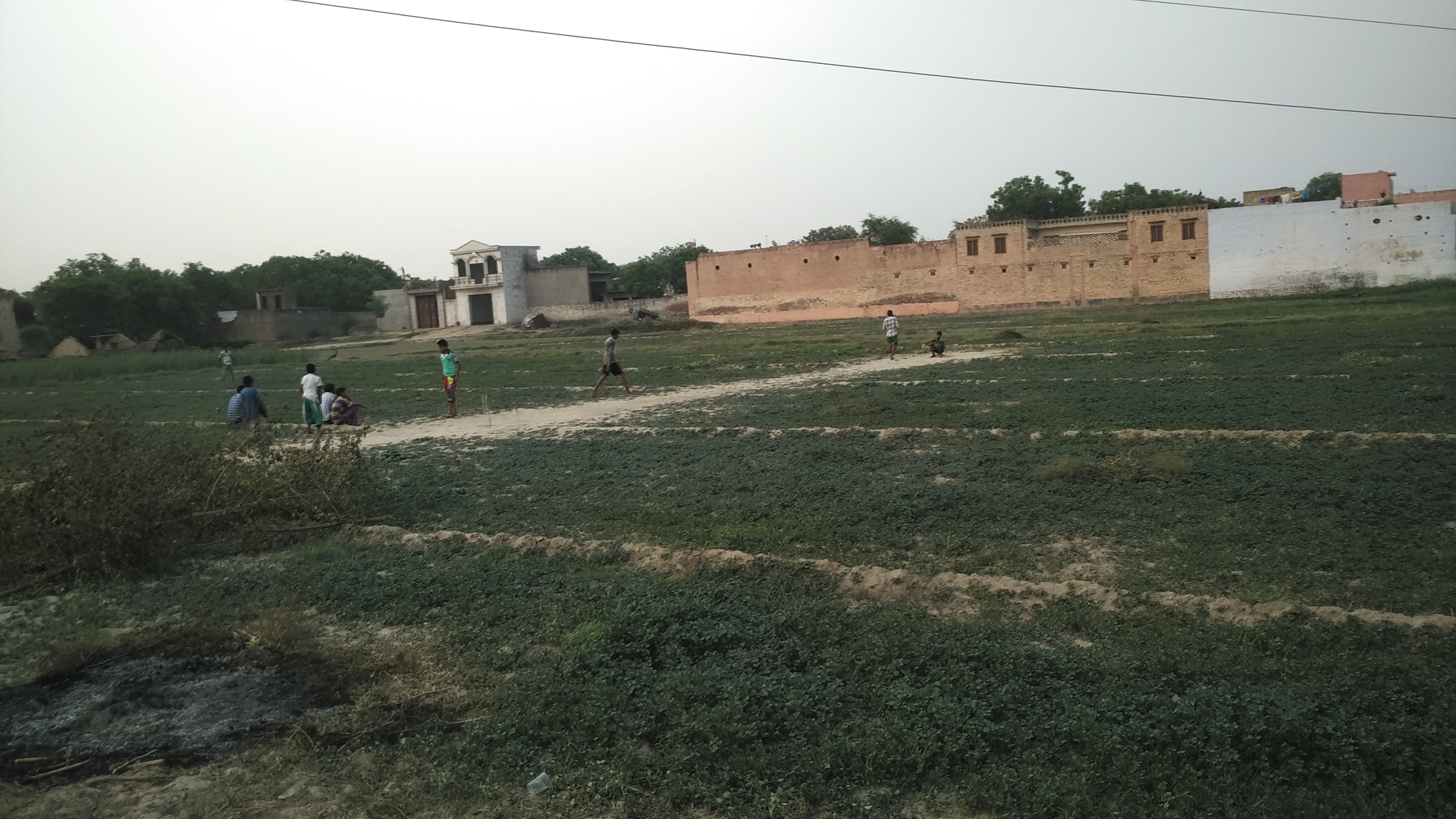 Barauli