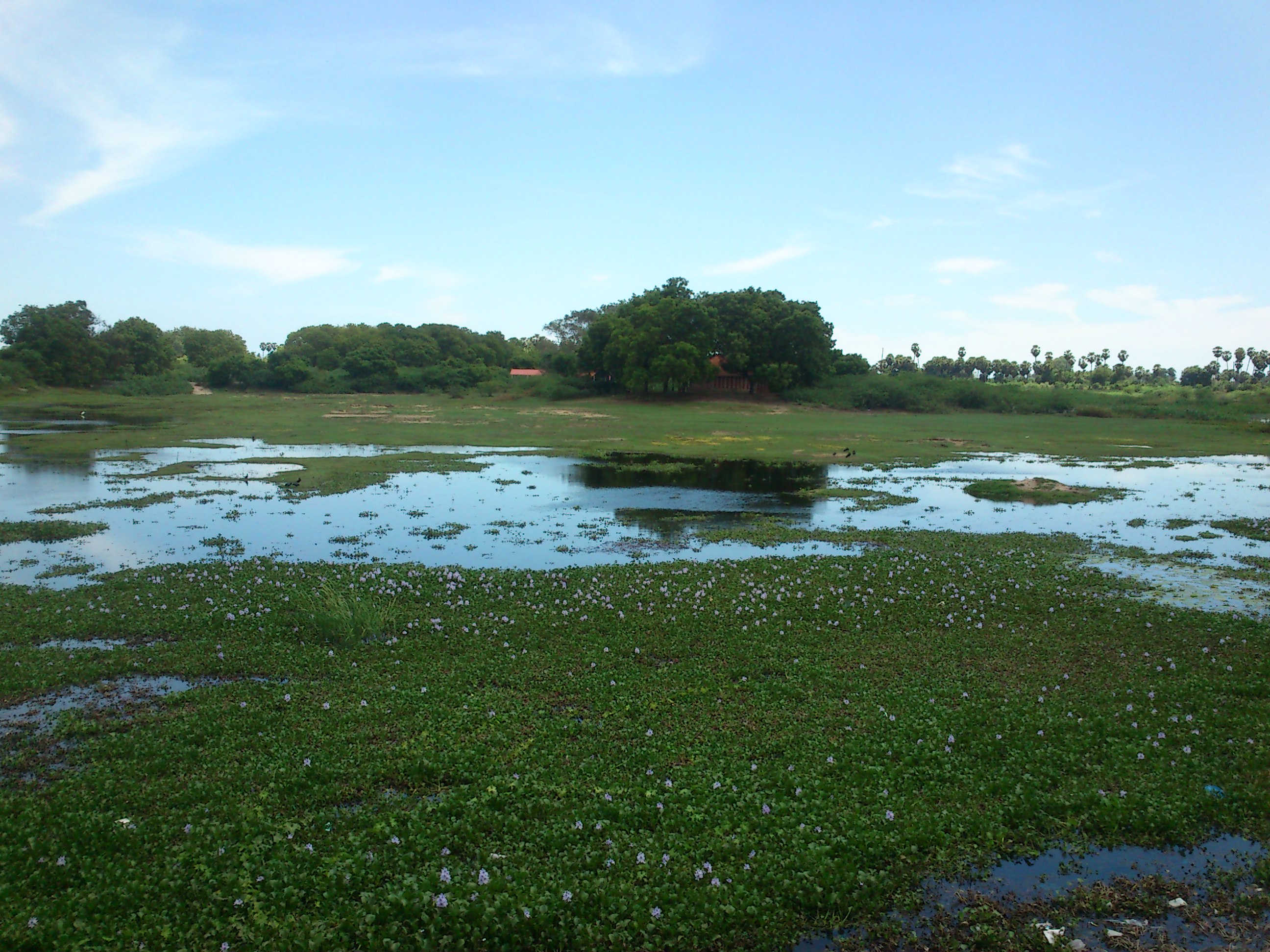 Authoor Pond