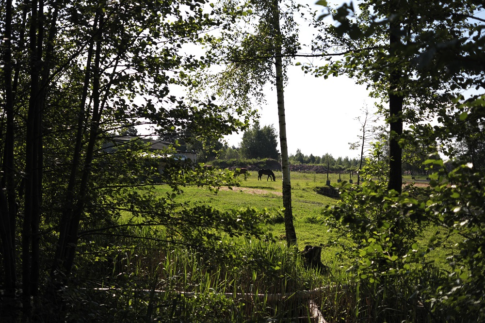 Horse Riding Base "Favorits" - Liepāja