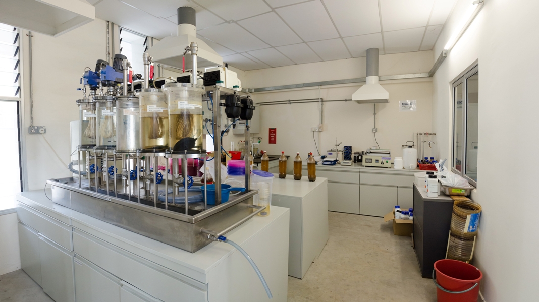 Bioreactor Room - Kampar New Town