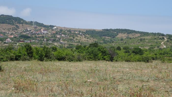 Emona