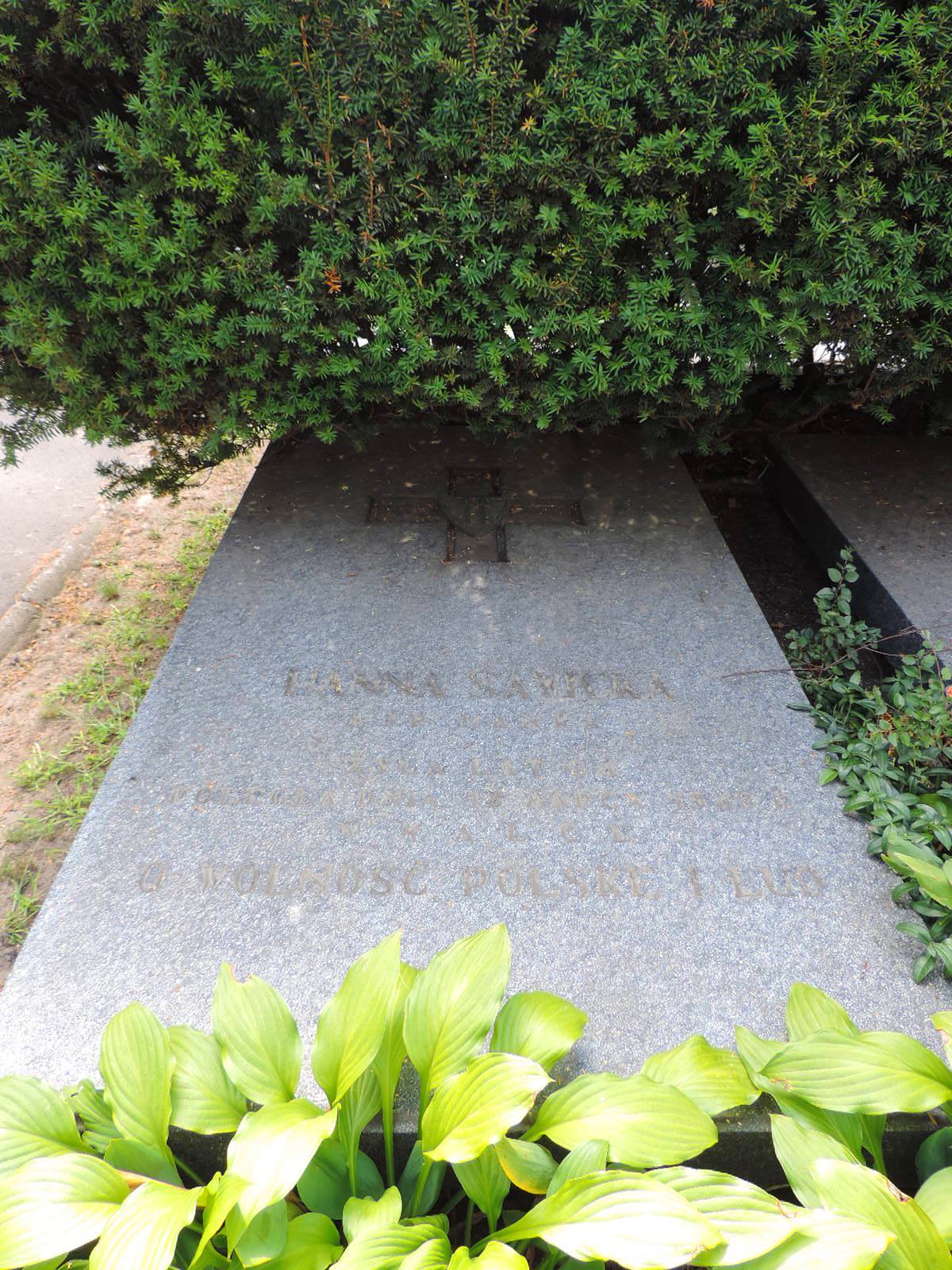 Hanka Sawicka - Warsaw