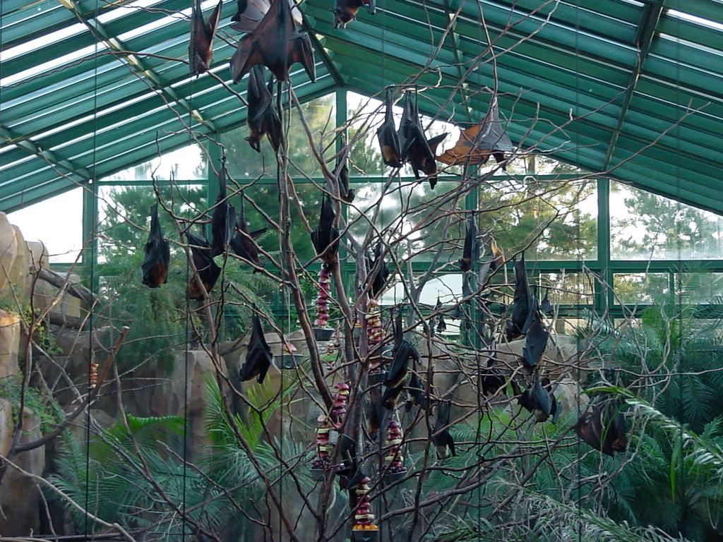 Temaiken - Belén de Escobar