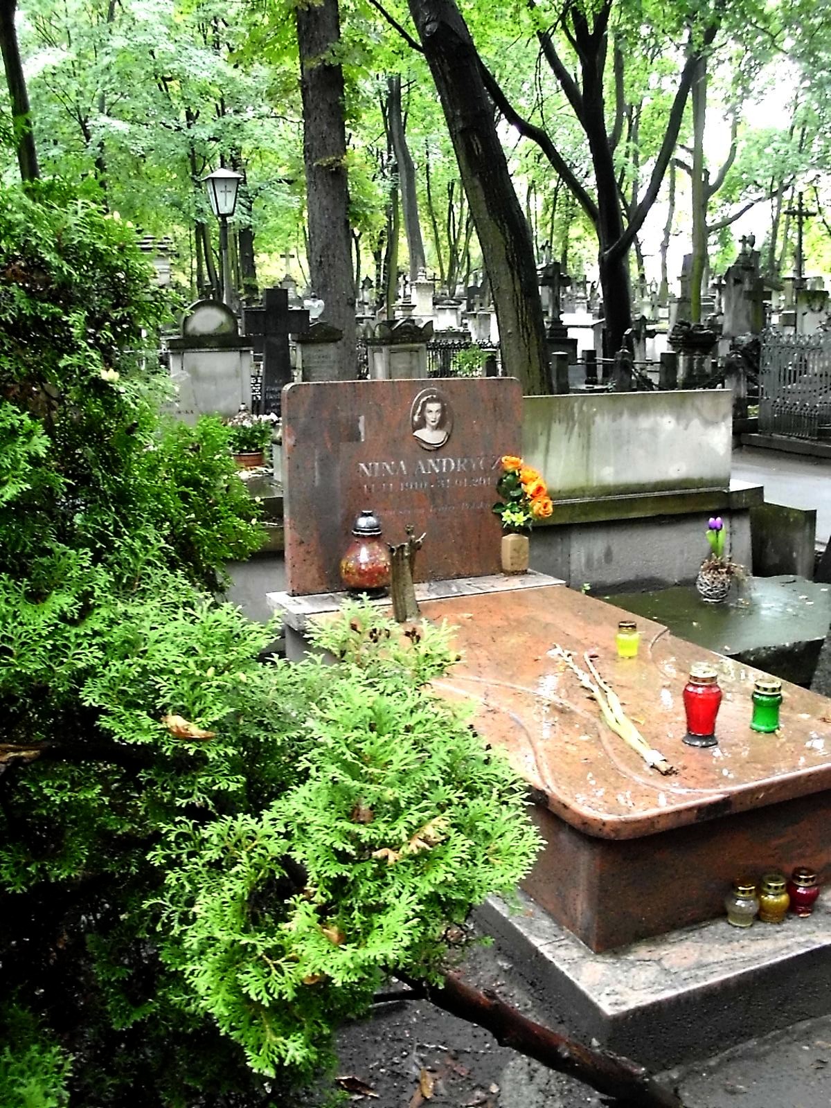 The tomb of Nina Andrycz - Warsaw