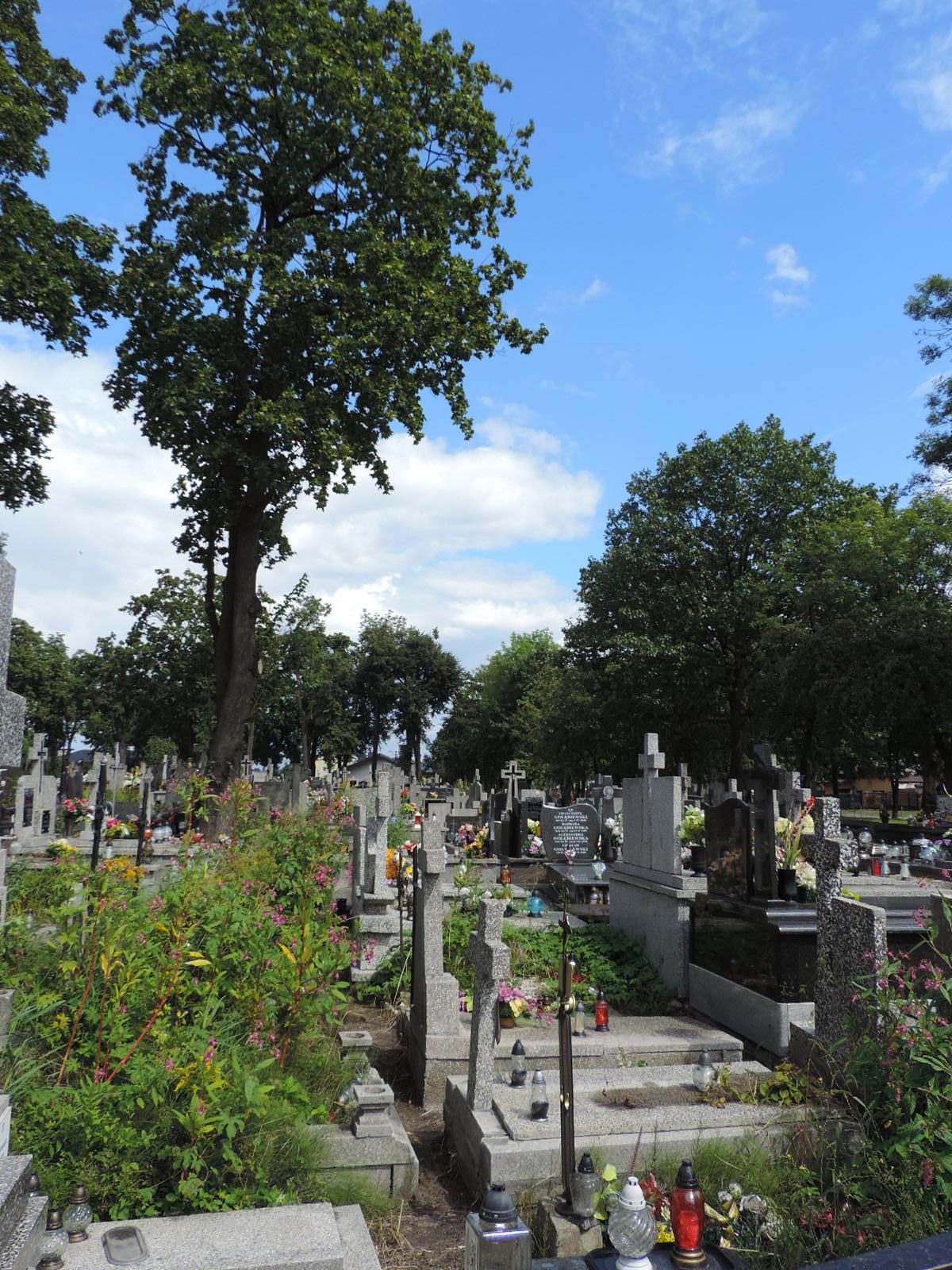 cmentarz Radzymin - Radzymin