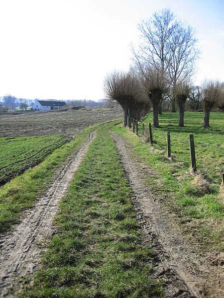 Lierde (commune) - Lierde-Saint-Martin