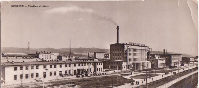 Combinatul Chimic Chimcomplex S.A. Borzești - Oneşti