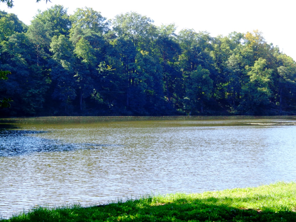Zbiornik Lisowice - Lisowice
